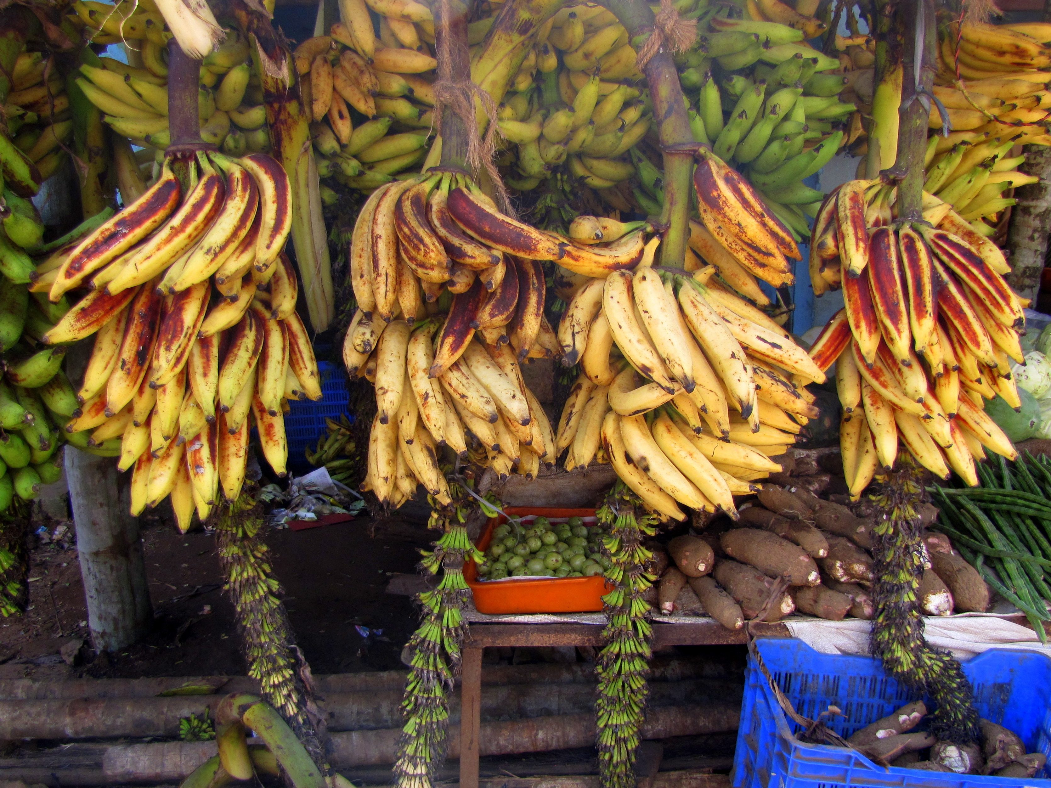 The Goan Cuisine – Goa through Maps